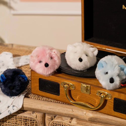 300 Ideas for First Names for Your Cuddly Toys and Stuffed Animals ...